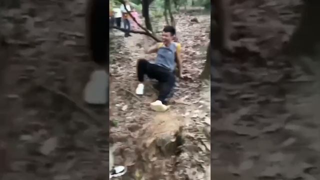 Приколы