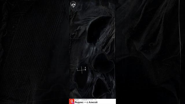 она следит за мной:франц