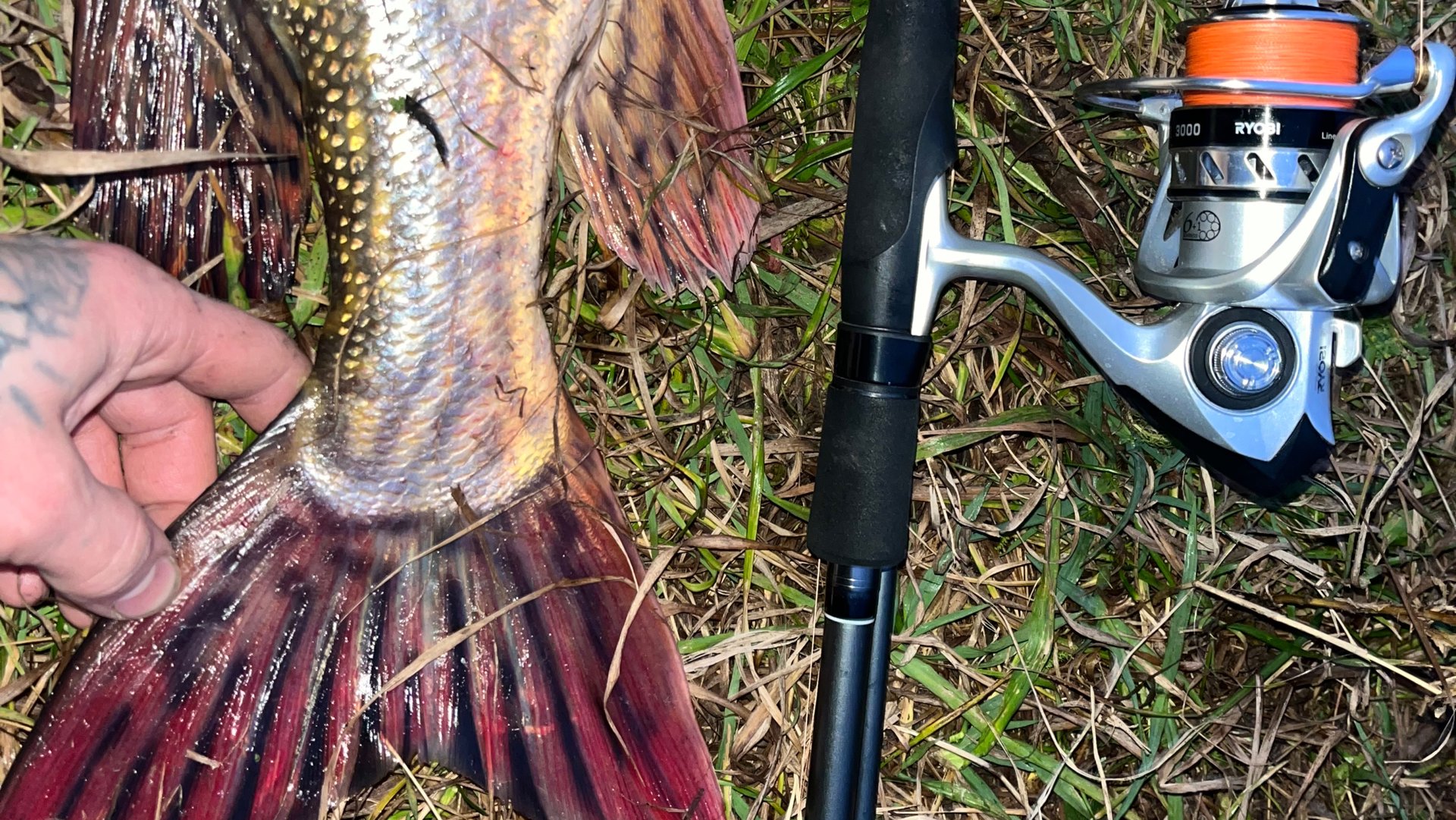 САМАЯ БОЛЬШАЯ ЩУКА моя . Рыбалка в нижегородской области. Рыбалка152