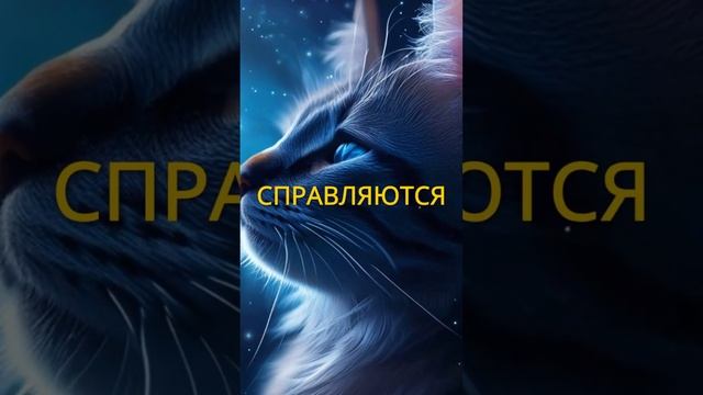 Кошки знака зодиака Весы.   #гороскоп  #психология