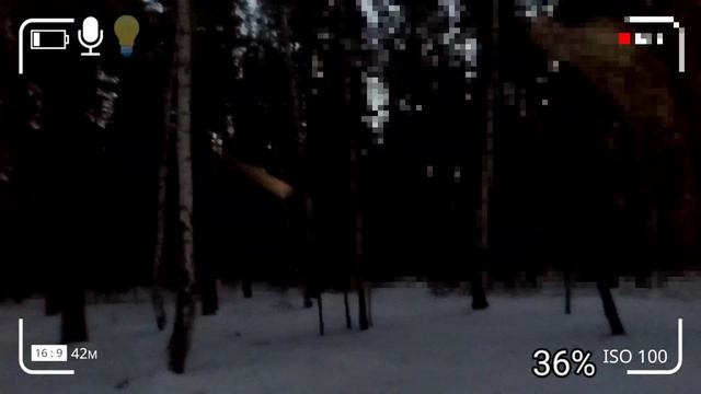 Экстремальное выживание