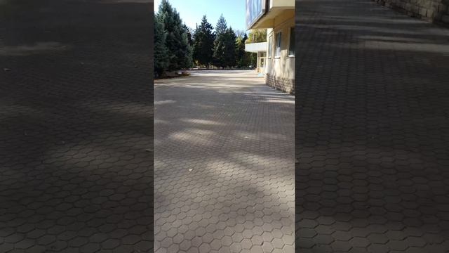 1000029915.mp4