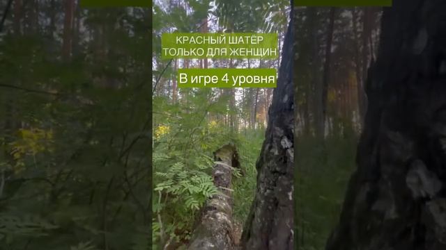 «Красный шатёр» - женская т-игра впервые онлайн