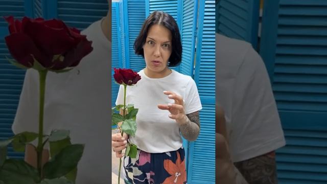 "Красный шатер" -женская трансформационная игра -отзыв от Марии