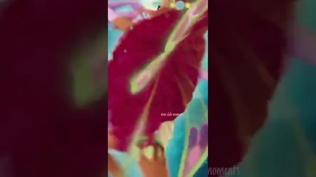 Aisha All Transformation Season 1-5