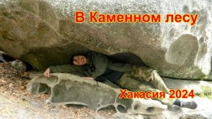 В Каменном лесу
