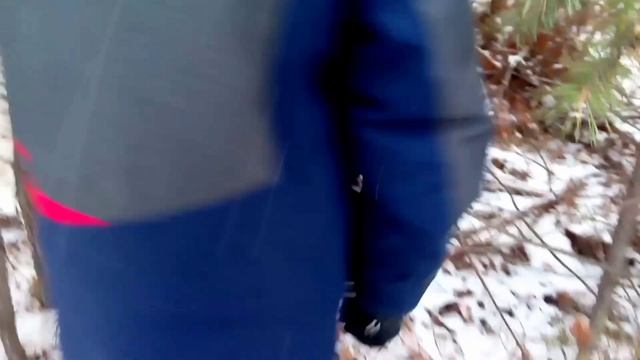 Выживание в зимнем лесу