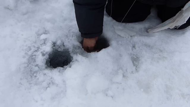 Лещ из лунки.