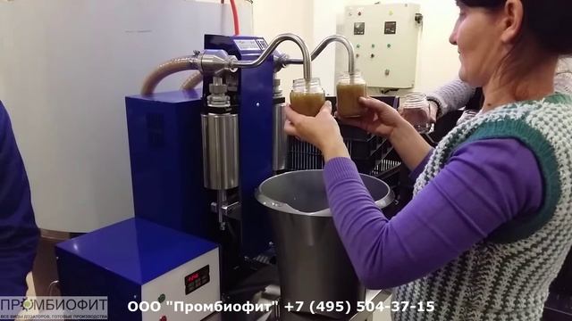 Монтаж линии производства фейхоа с сахаром в Абхазии (работа с дозатором УД-2П)