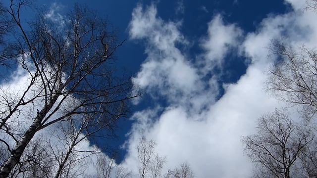 Облака в весеннем небе.