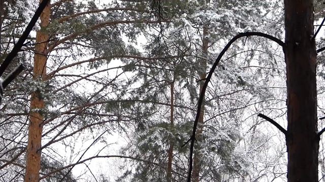 Последний день апреля. Красноярск