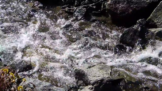 Хакасия. Ручей из талой воды на Кузнецком Алатау.