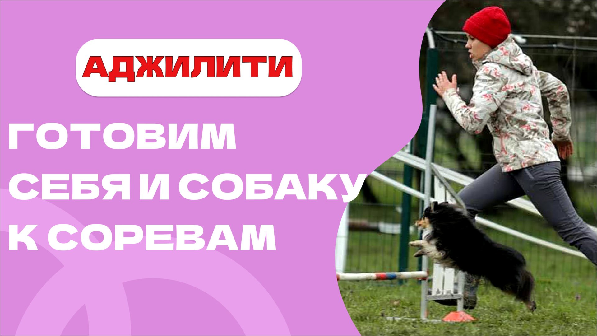 Аджилити: идеальная подготовка до, во время и после соревнований