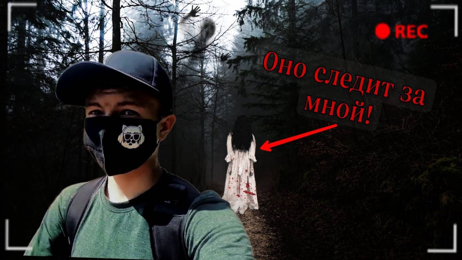 Кто-то обитает в этом глухом лесу!