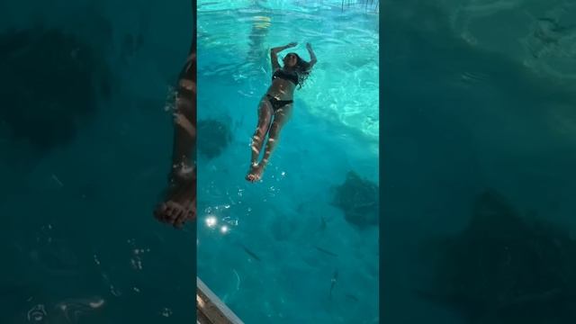 Kingdom of sea. Аквапарк в Турции, Кемер. Интересные места в Кемере. Бассейн со скатами.