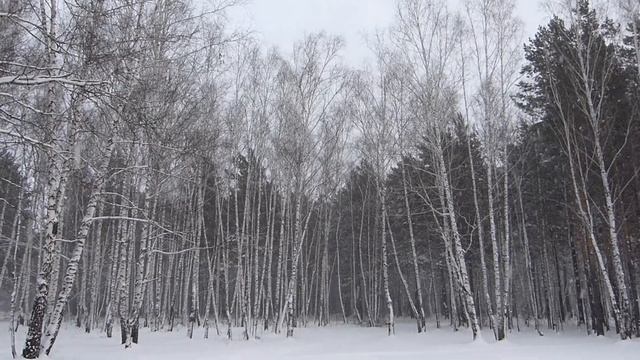 Осенний снегопад-2.