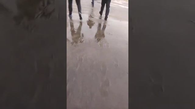 Воронеж 24.02.2020