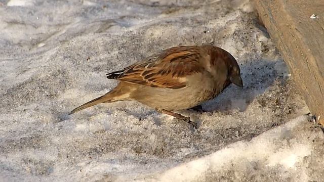 А ну-ка, отними! Часть 3.