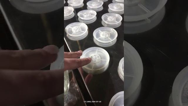 Работа стерилизатора тары (стеклянных банок) производства ООО Промбиофит