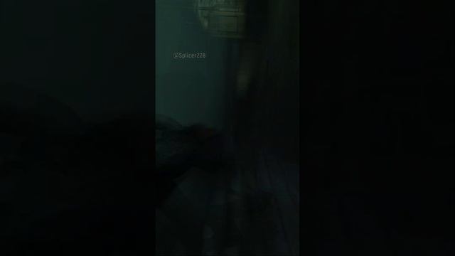 Кремируйте её быстрее!  • BioShock