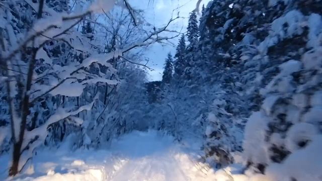 Таежная дорога-3. 09 января 2014 года.
