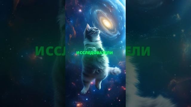 Кошки знака зодиака Стрелец.   #гороскоп  #психология