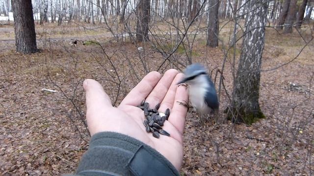 "Мы с тобой одной крови, ты и я!"©
