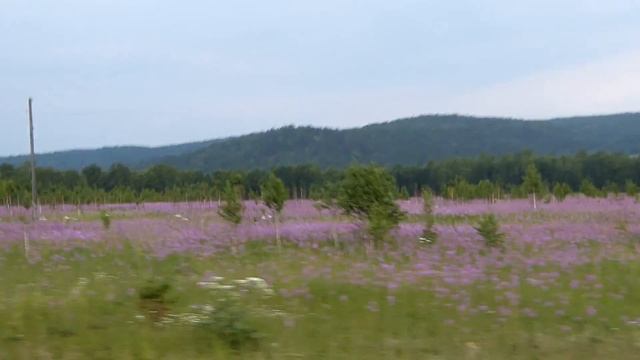 Мана. Дорога домой.