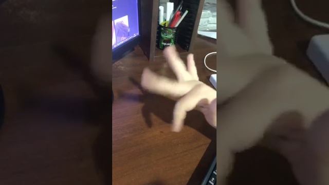 Фокусы. ЧАСТЬ 3