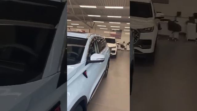 Дефлектора окон Chery tiggo 7 pro
