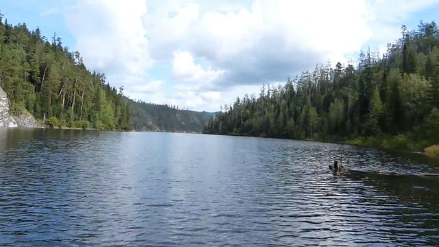 Красноярское море, залив Саржакова - 2.
