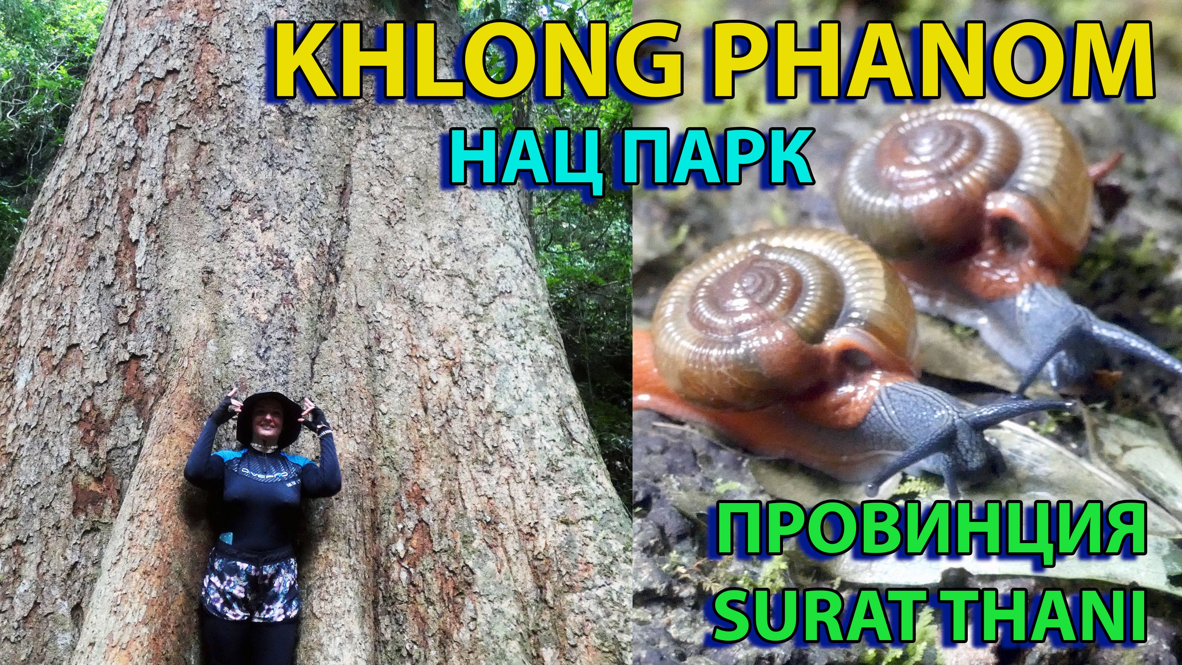 Khlong Phanom бродим по джунглям