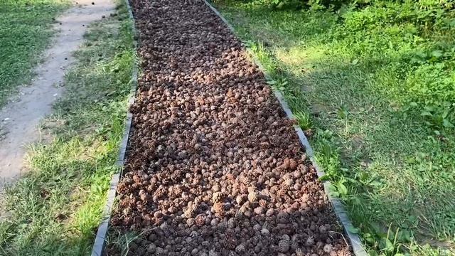 При боли в суставах работай со своими стопами