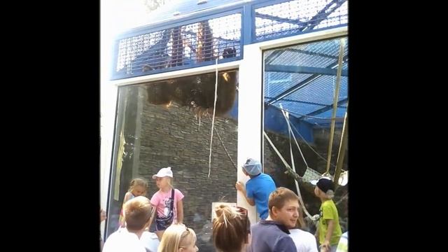 Новосибирский зоопарк 2019 г