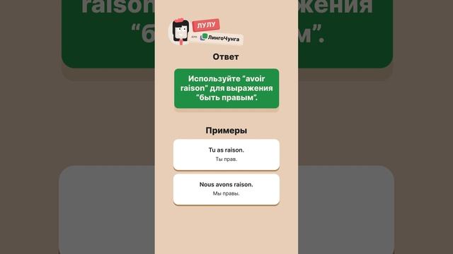 🤔 "Он прав" по-французски? 🇫🇷 Лулу из ЛингоЧунга раскроет секрет! 🐸