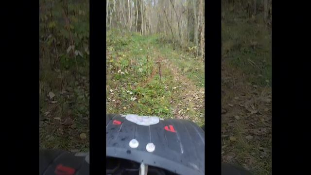вологодскийкаракат зис5 болотоход вездеход покатушки приколы каракат юмор смех шоу развлечения чбд р