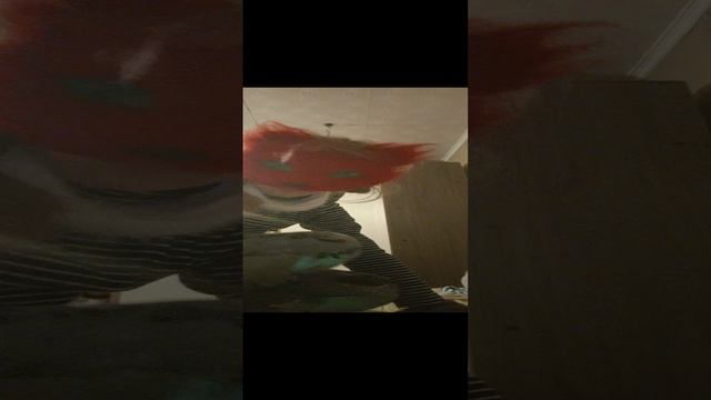 1000015095.mp4
