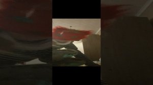 1000015095.mp4