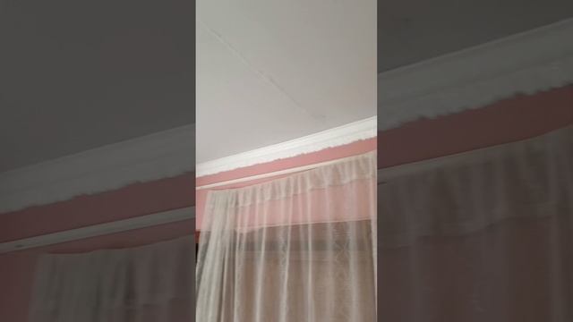 дачка потихоньку приходит в порядок