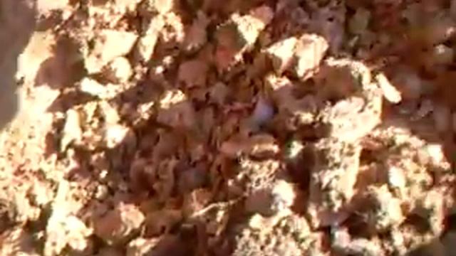 Карьерная глина #1