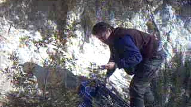 Карьерная глина #2