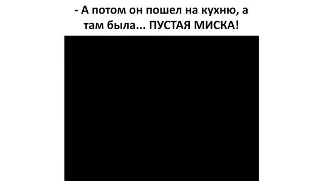 📹 Приколы с котами. ЛУЧШЕЕ ЗА ФЕВРАЛЬ 2024 | Мемозг 
👤 #Alexey_Sova 
📹