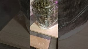 столик из эпоксидки с подсветкой