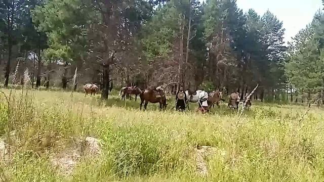 Воеводские луга. Подготовка к съемке фильма "Под водой" .Алатырь 2023 г.