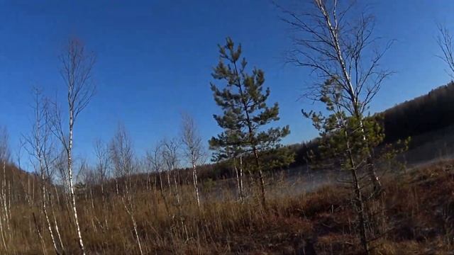 Замерзшее озеро. В одиночный поход в лес к озеру. Часть 4
