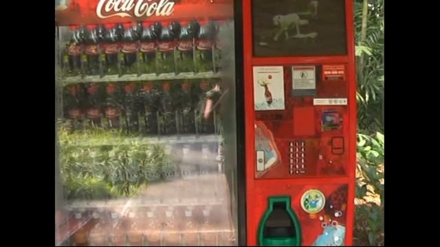 Парк птиц Джуронг в Сингапуре .