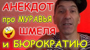 Смешной Анекдот история про трудолюбивого Муравья и бюрократию