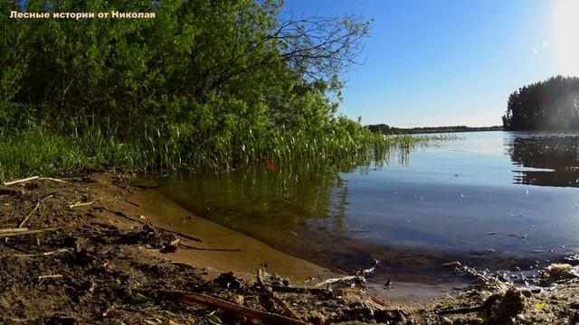 Природа водохранилища под звуки костра | Релакс