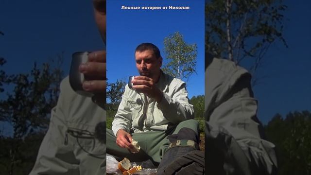 Летние прелести походной жизни