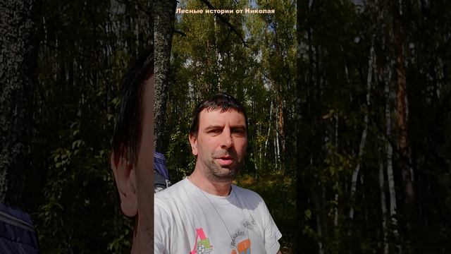 Мой августовский поход с ночевкой на озера 2024